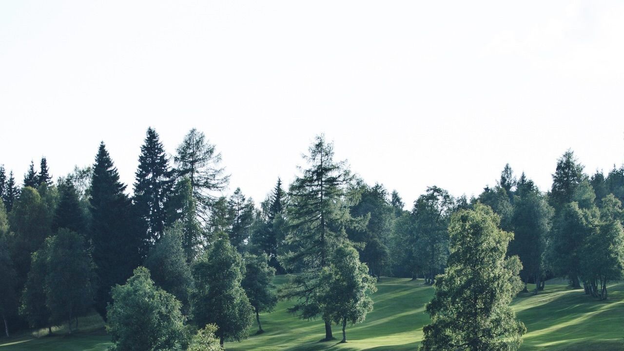 GC Seefeld: Seefeld Golftrophy 2026 mit Hotel-Package - Golf Post