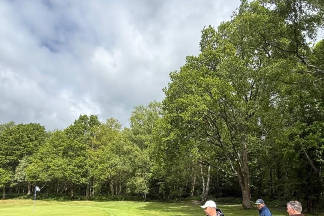 Berkhamstead Artisans: Course Master Plan nimmt Gestalt an - Golf Post